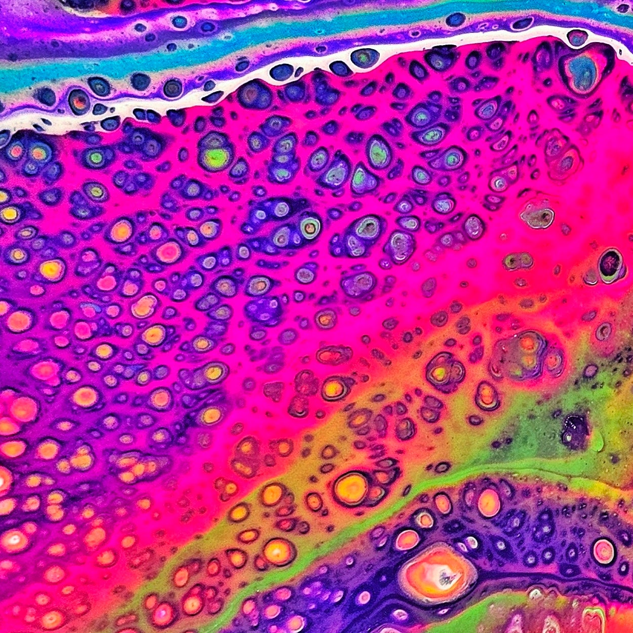 Jamie Janko Art Studio